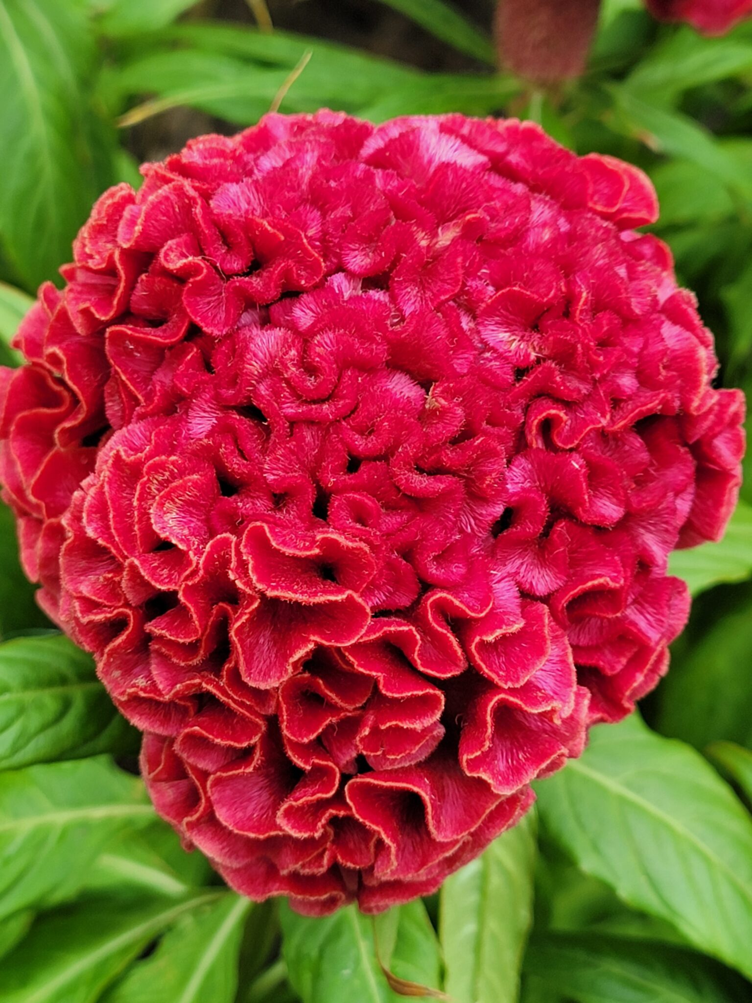 13 incontournables à Singapour : quoi voir et que faire à Singapour ...